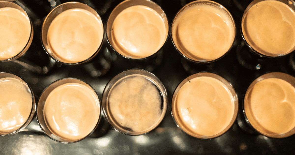 What is a Beer Flight? - Best Way to Taste Many New Beers
